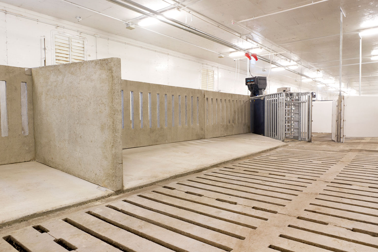 Barkman Concrete Slats • South Country Livestock Equipment