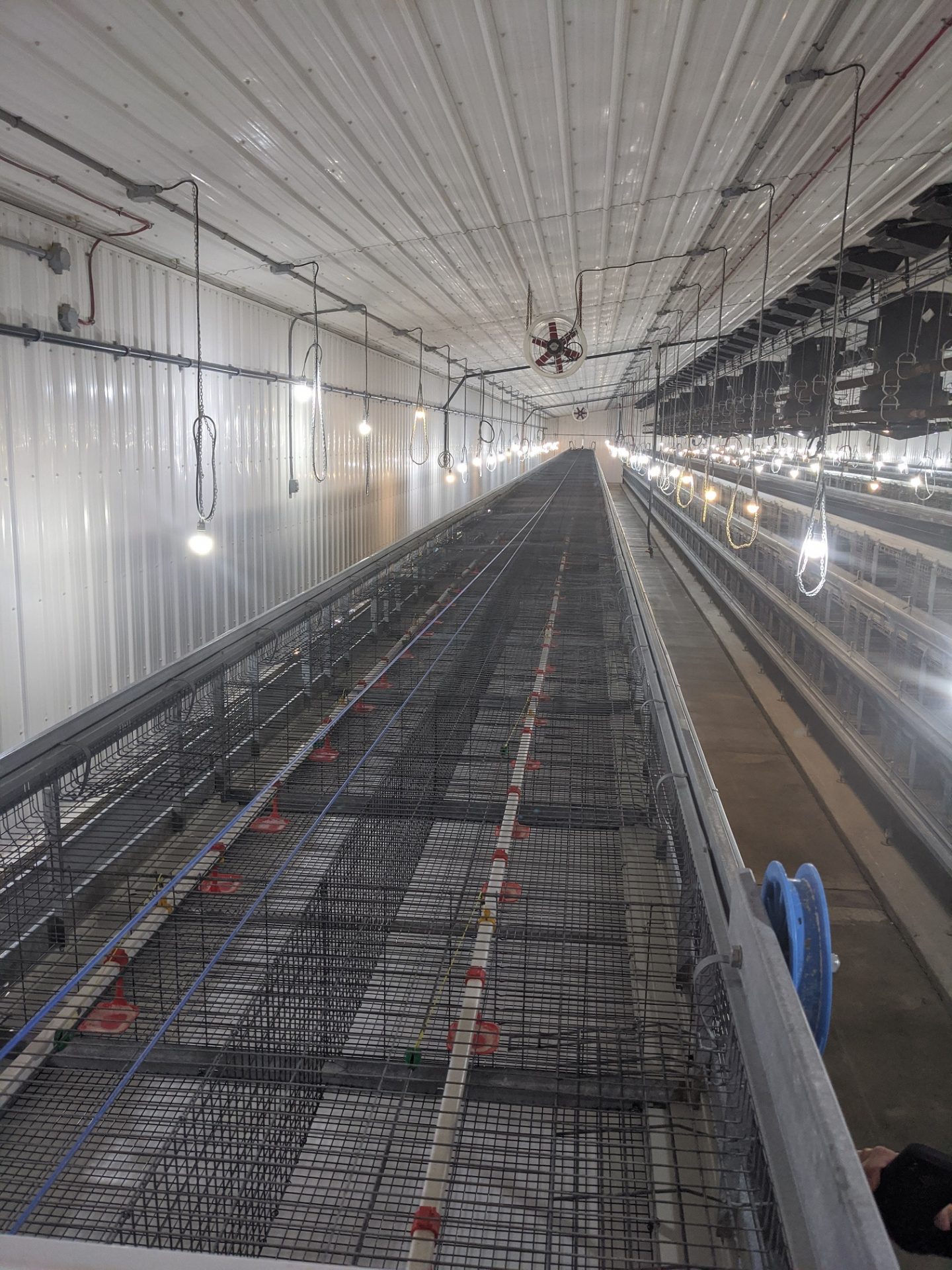 Homeland Colony | Recent Projects • South Country Livestock Equipment